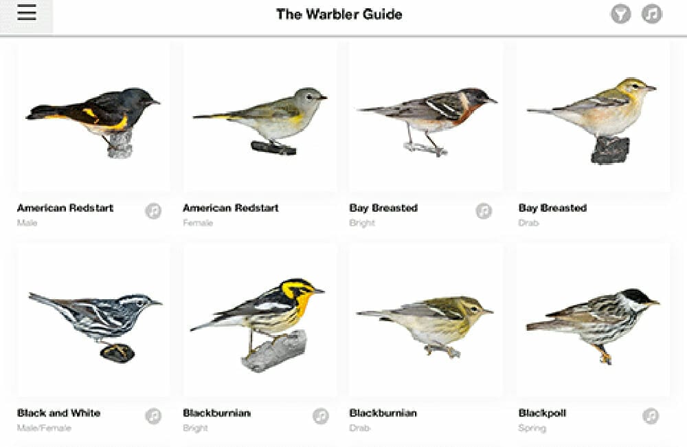 Warbler Guide App for Android Devices | Phone Skope