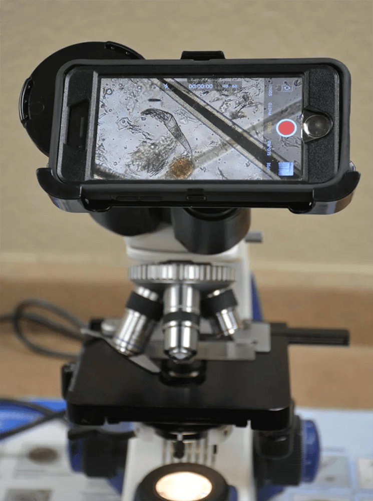 Microscope Eyepiece Adapter | Phone Skope
